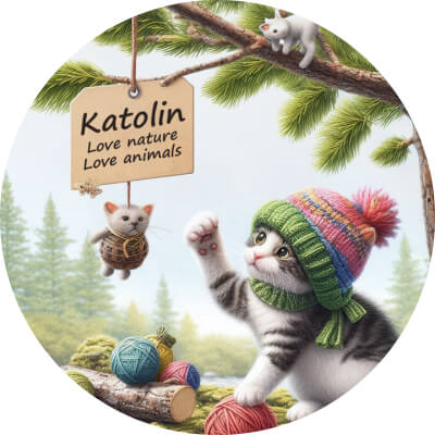 Katolin